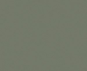 Laminex Daintree Stipple | Premium Laminate by Attila Kitchens