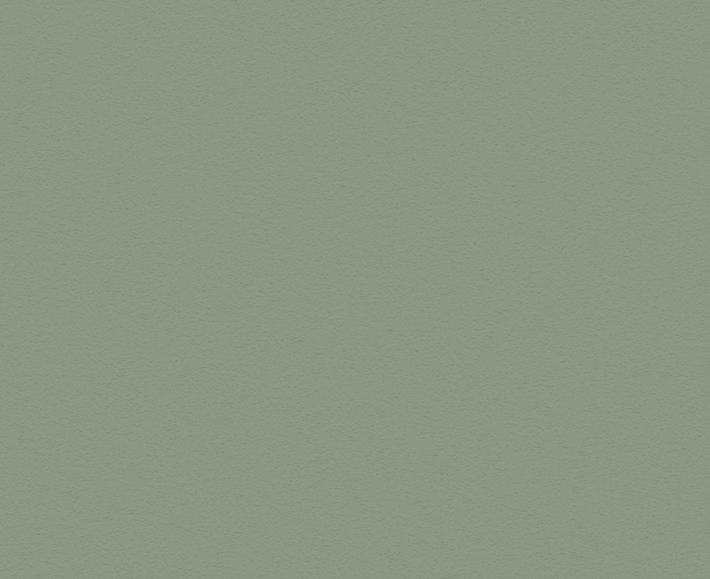 Laminex Eucalypt Stipple | Premium Laminate Board