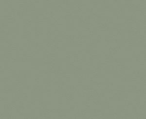 Laminex Eucalypt Stipple | Premium Laminate Board