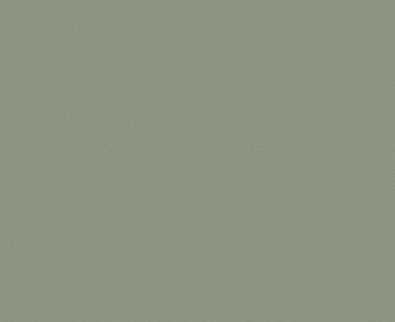 Laminex Eucalypt Stipple | Premium Laminate Board