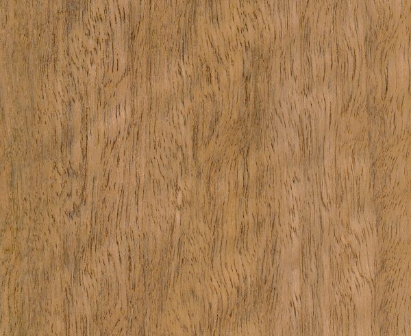 Industrial Kitchen Designs | Custom Commercial Kitchens